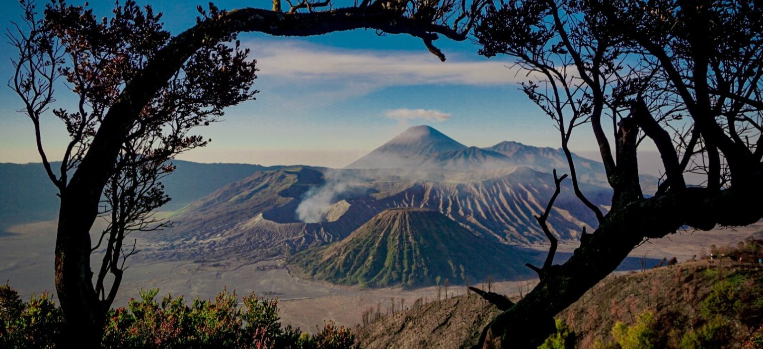Desa Edelweiss Wonokitri – Desa Terakhir menuju Bromo